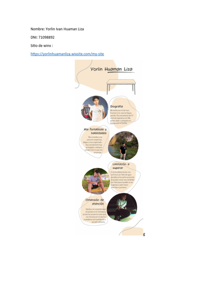Infografia Yorlin Huaman Liza | PDF