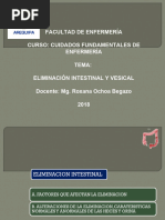 CISTOCLISIS | PDF | Vejiga urinaria | Orina