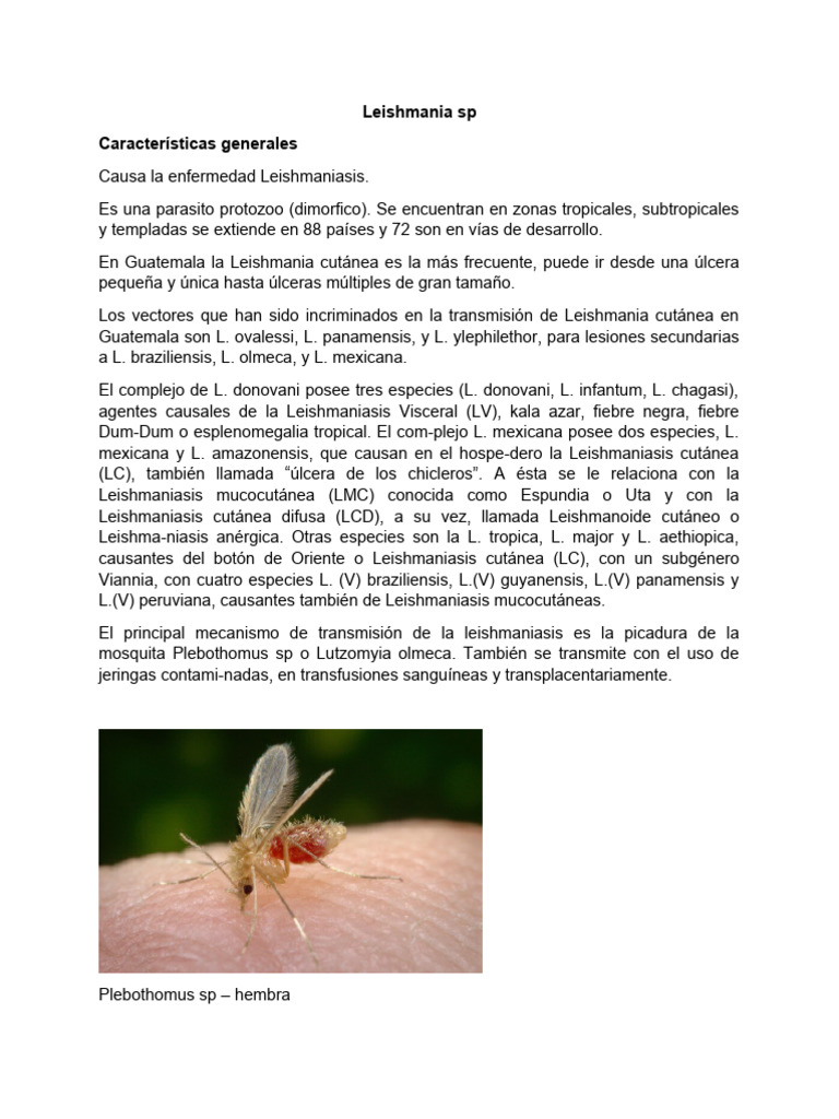 Leishmaniasis: Tipos y Tratamiento | PDF | Leishmania | Causas de la muerte