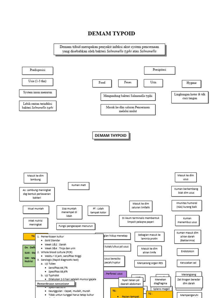 Demam Typoid Panel | PDF