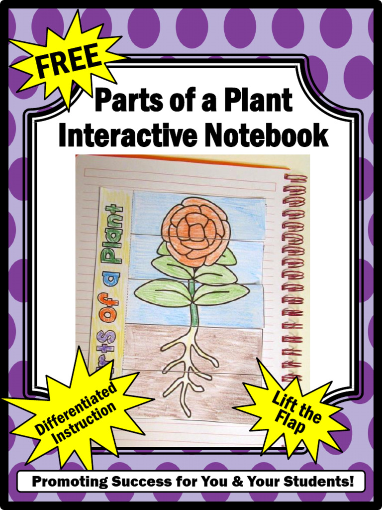Parts of A Plant Interactive Notebook: Promoting Success For You & Your ...
