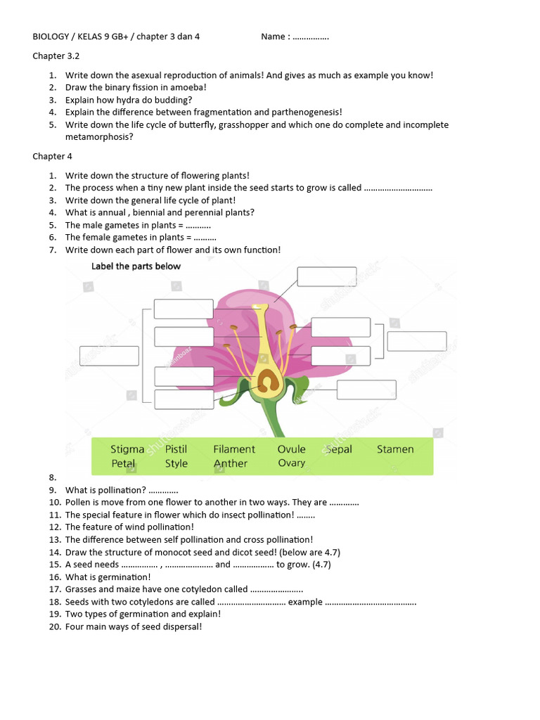 Bio Animal and Plant Reproduction | PDF