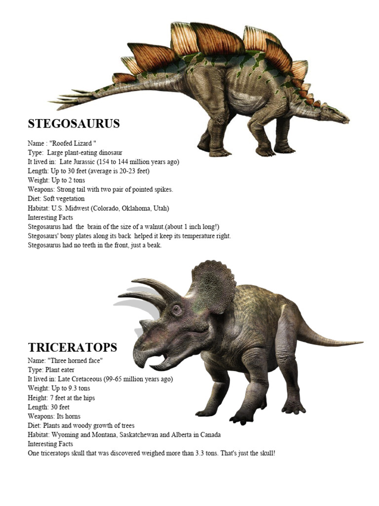 STEGOSAURUS | PDF