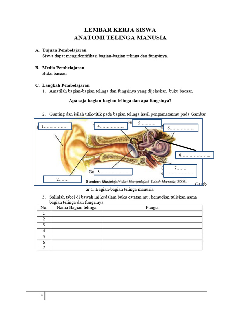 Contoh LKS Anatomi Telinga | PDF