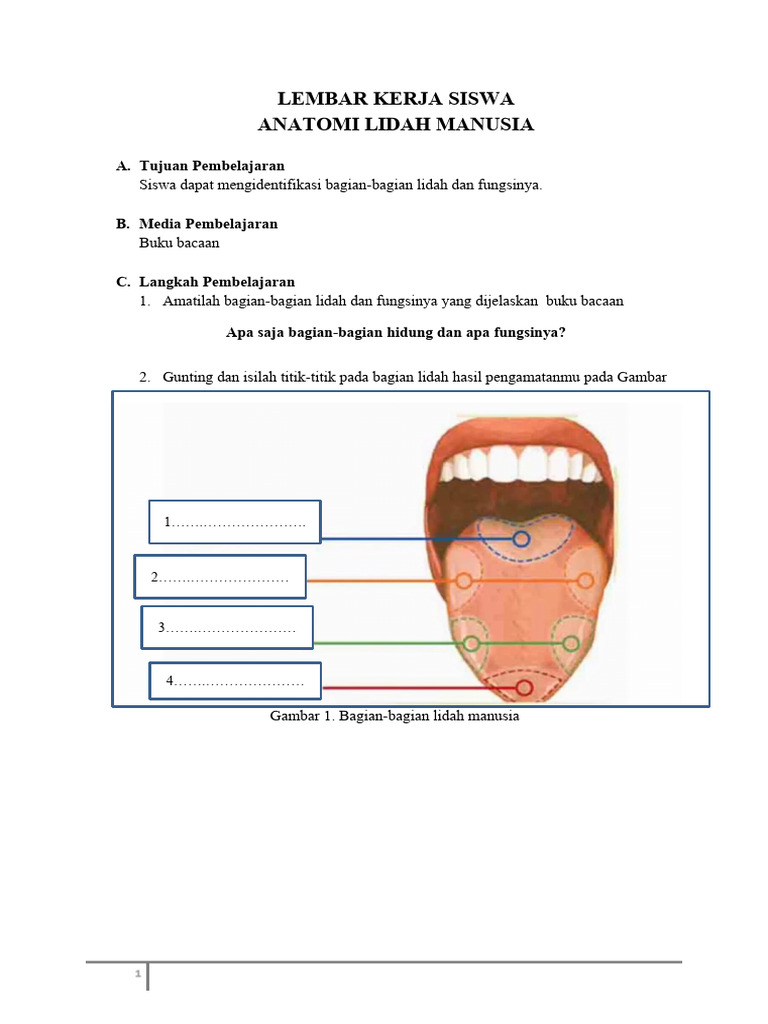 Contoh LKS Anatomi Lidah | PDF