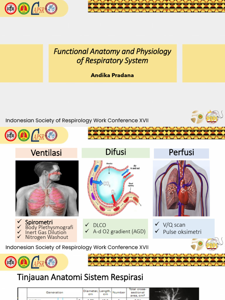 Fisiologi Spirometri | PDF