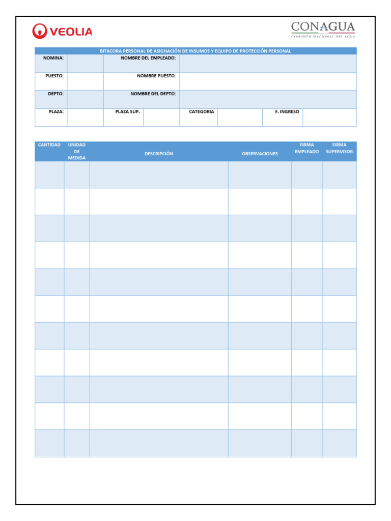 Bitacora Personal de Asignación de Insumos y Equipo de Protección Personal | PDF