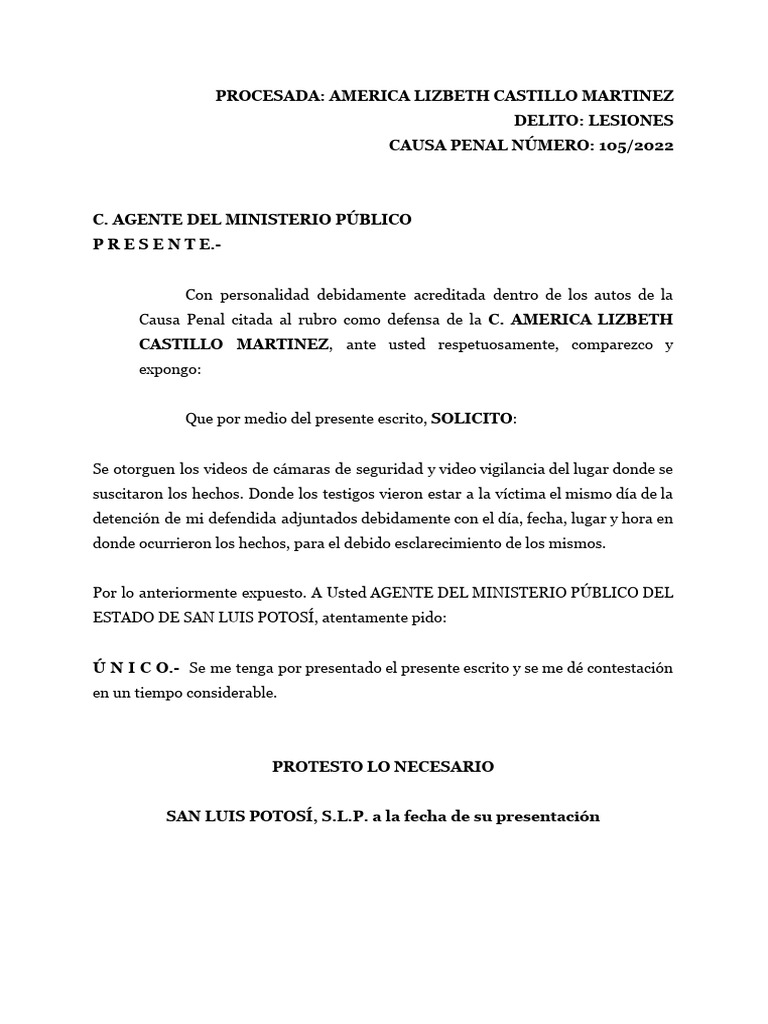 Solicitud A MP Pruebas Video | PDF