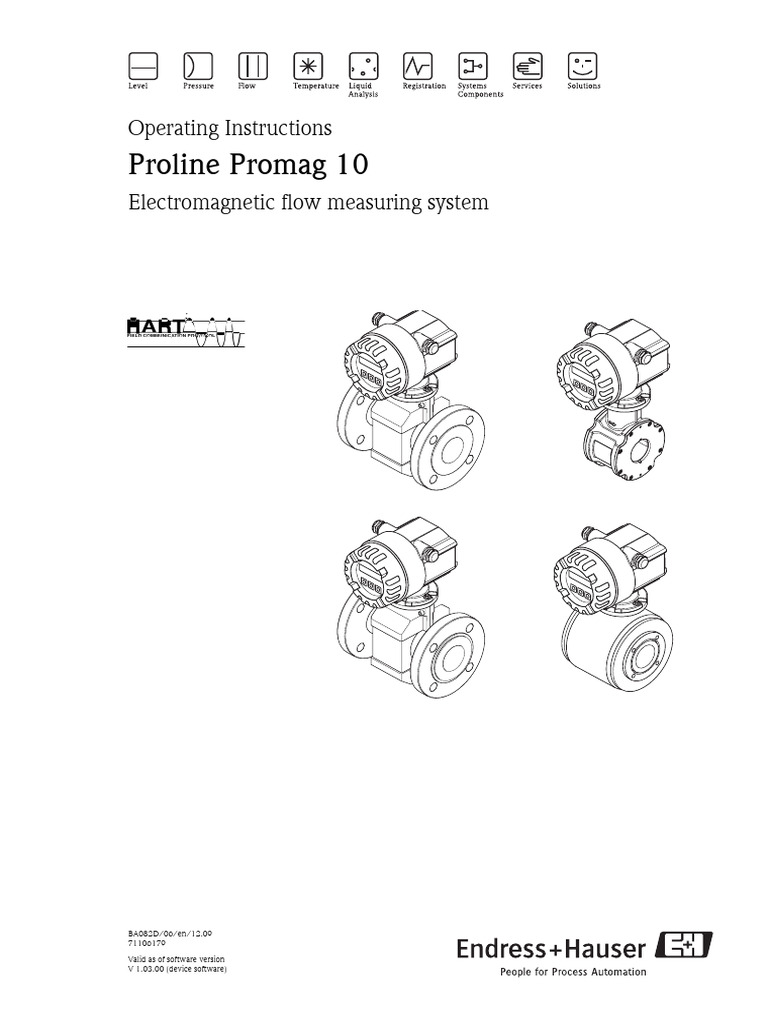 E+H Promag10 Manual | PDF