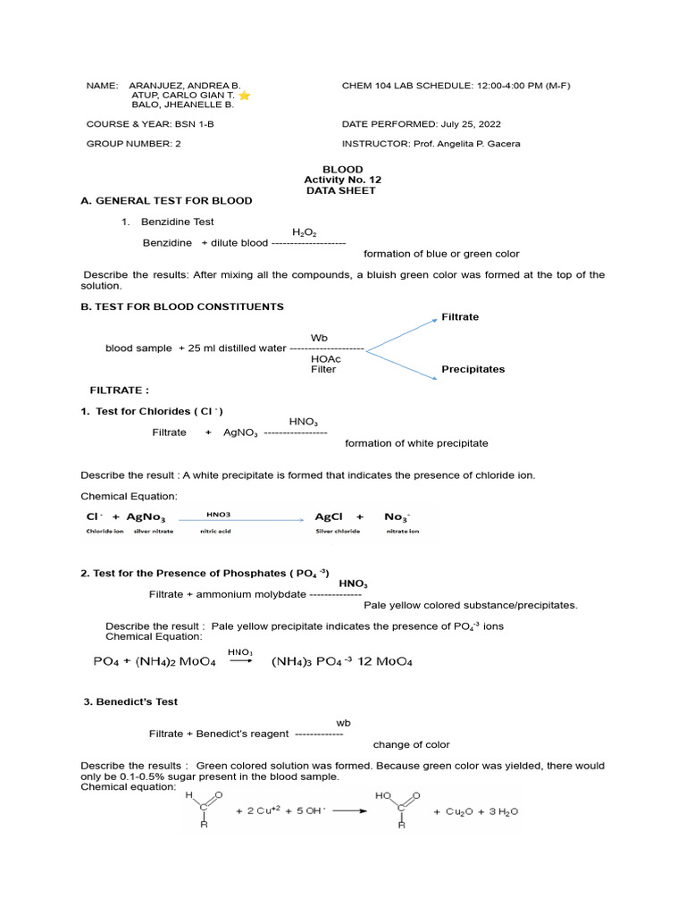 Group 2 - DATA SHEET BLOOD - Docx-4 | PDF