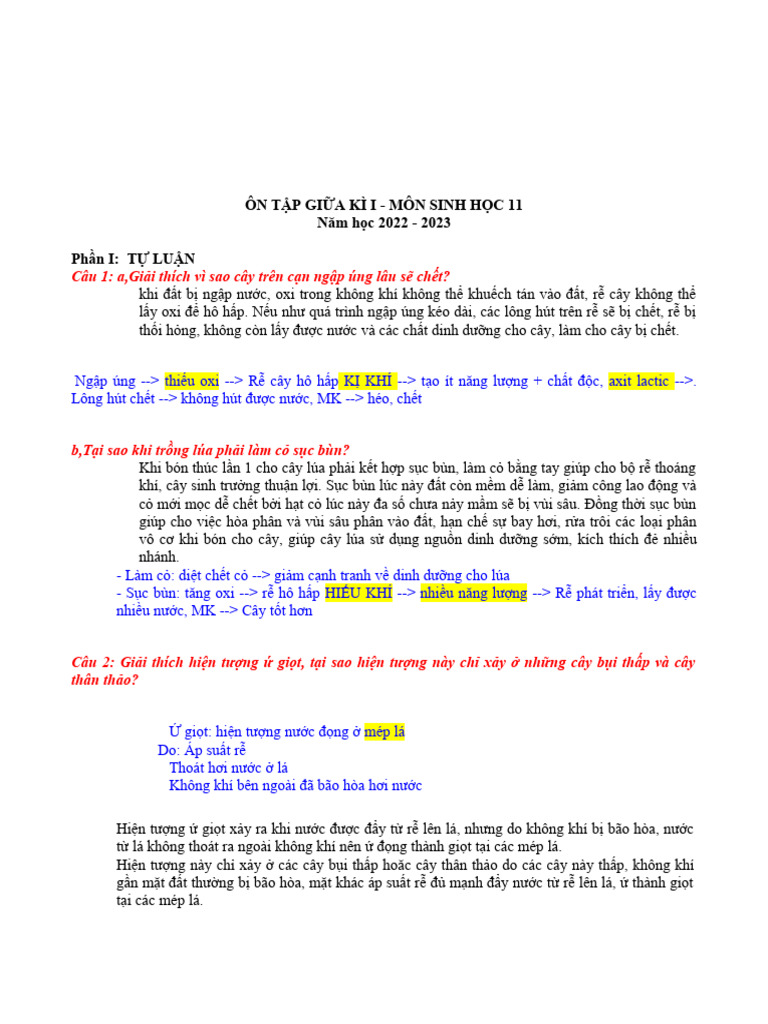 ÔN-TẬP-SINH-11-GIỮA-HK1-Năm-2022-2023-2 | PDF