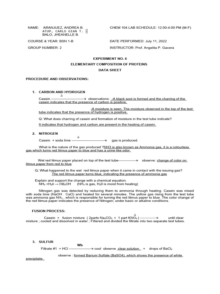 Group 2 - DATA SHEET ELEMENTARY COMPOSITION OF PROTEINS | PDF
