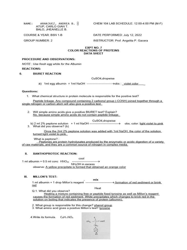 Group 2 - Data Sheet Color Reactions of Proteins | PDF