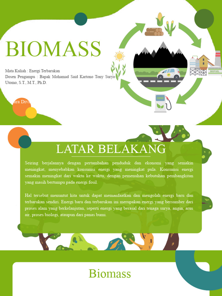 Biomass | PDF