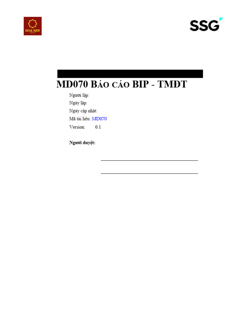 MD070-Đặc tả báo báo TMĐT-BIP | PDF