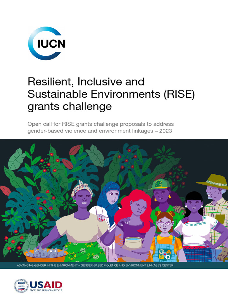 Rise Grants Challenge 2023 Call For Proposals English | PDF