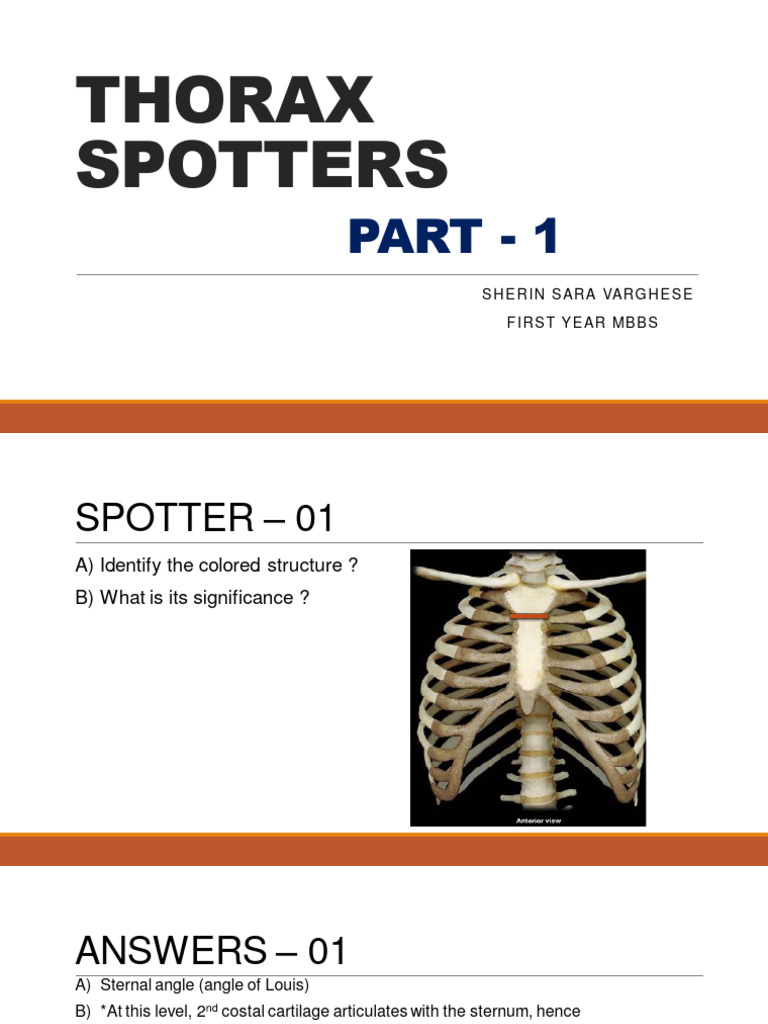 Thorax Spotters-1 | PDF