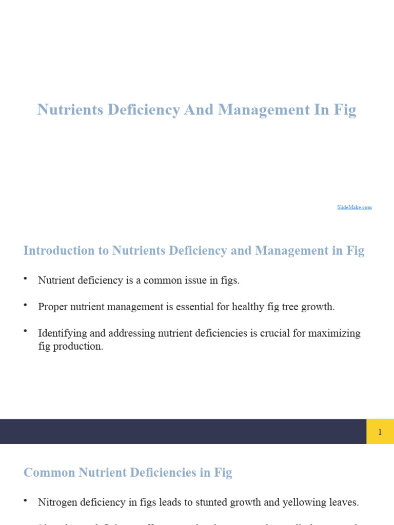 Nutrients Deficiency and Management in Fig | PDF | Fertilizer | Soil