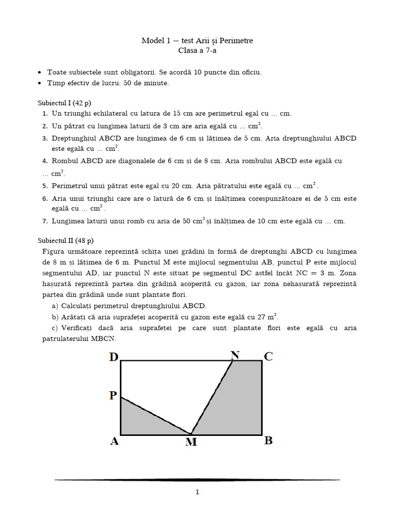 Test Arii Și Perimetre | PDF