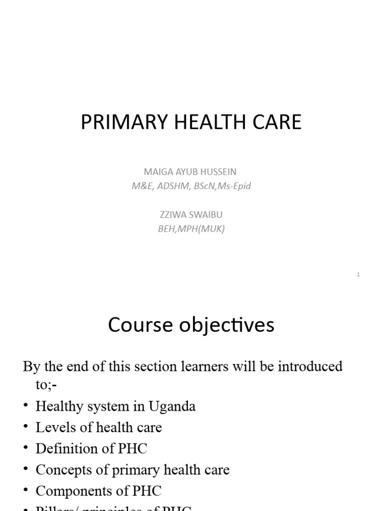 Overview of Primary Health Care in Uganda | PDF