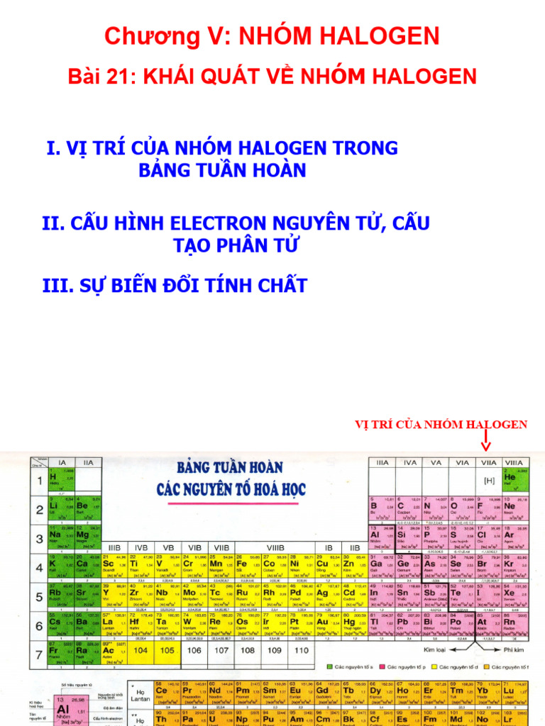 Bai 21 Khai Quat Ve Nhom Halogen | PDF