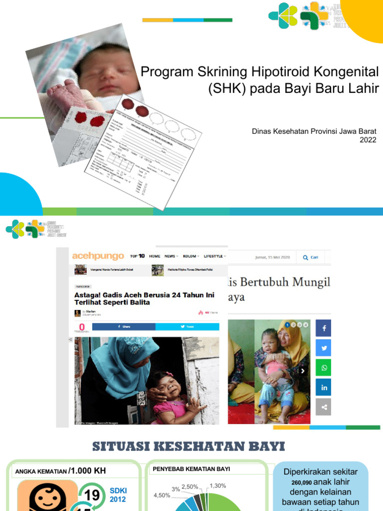 SHK Kab BDG 2022 | PDF