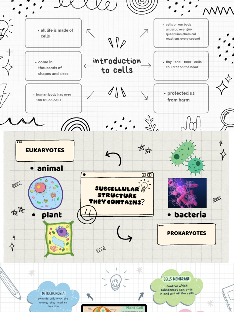 Mind Map Cells and Tissue | PDF