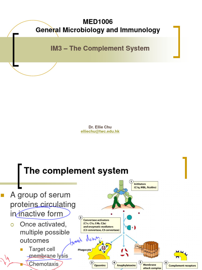 sIM3 - Complement System - 22 | PDF | Complement System | Immune System