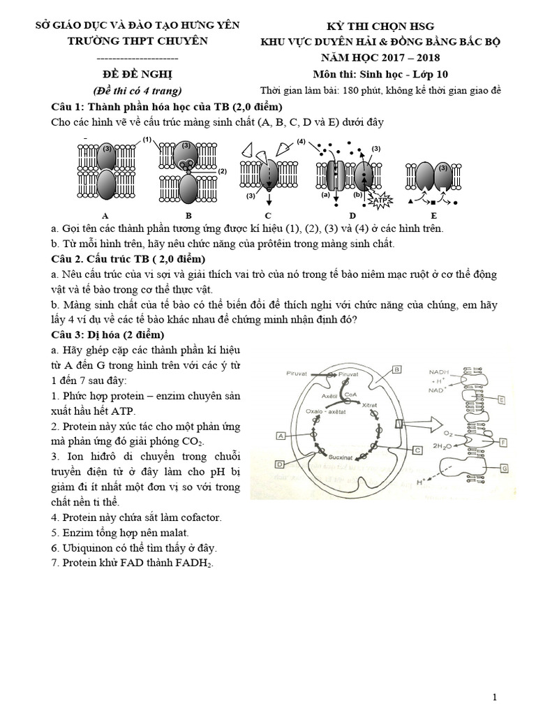 (Lib24.vn) De-Thi-Va-Hdc-Chon-Hsg-Sinh-Hoc-Duyen-Hai-Dong-Bang-Bac-Bo-Sinh-10-Nam-Hoc-2017-2018 ...