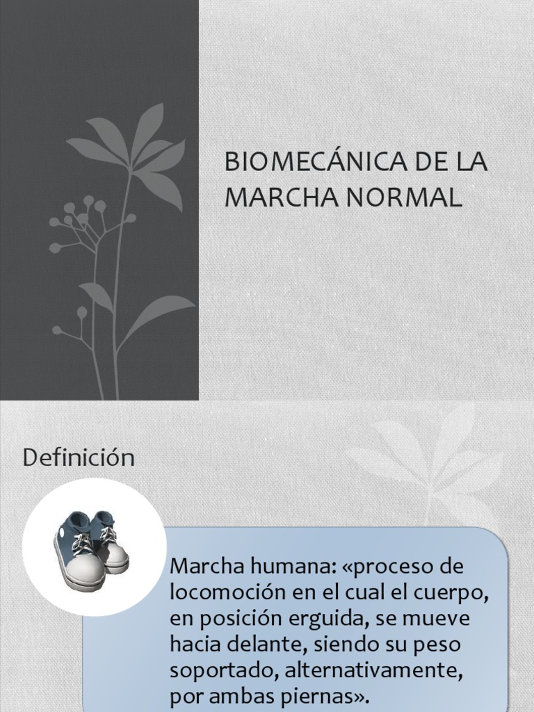 Ciclo de La Marcha Normal | PDF | Pie | Tobillo