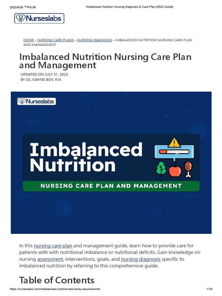 Imbalanced Nutrition Care Plan Guide | PDF