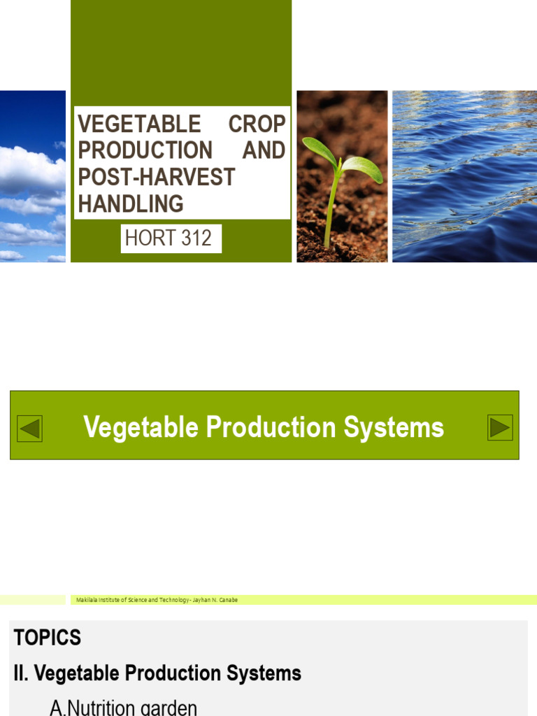 Hort 312 Lesson 2 Vegetable Production Systems | PDF