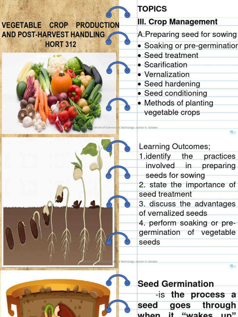 Hort 312 Lesson 3 Seed Preparation | PDF