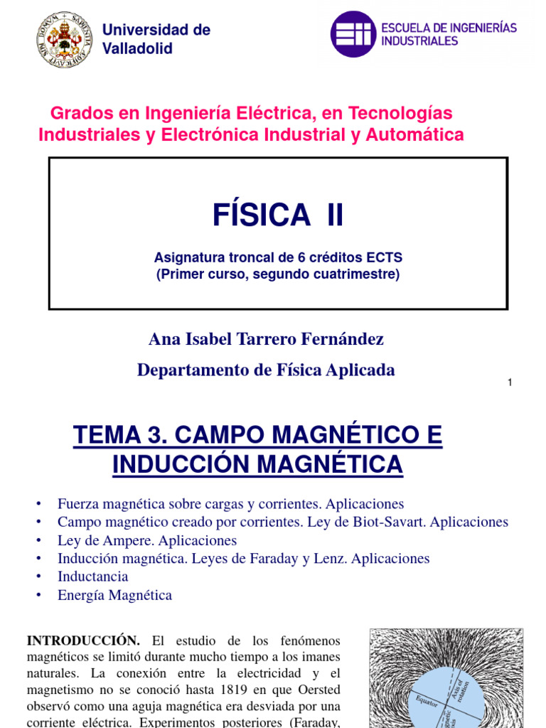 Campo Magnético e Inducción Magnética | PDF