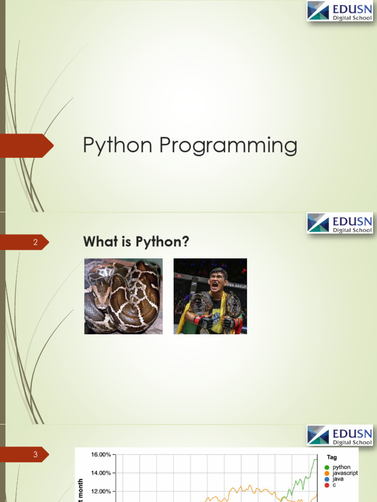 7 3 4 Pythonprogramming Download Free Pdf Parameter Computer Programming Python