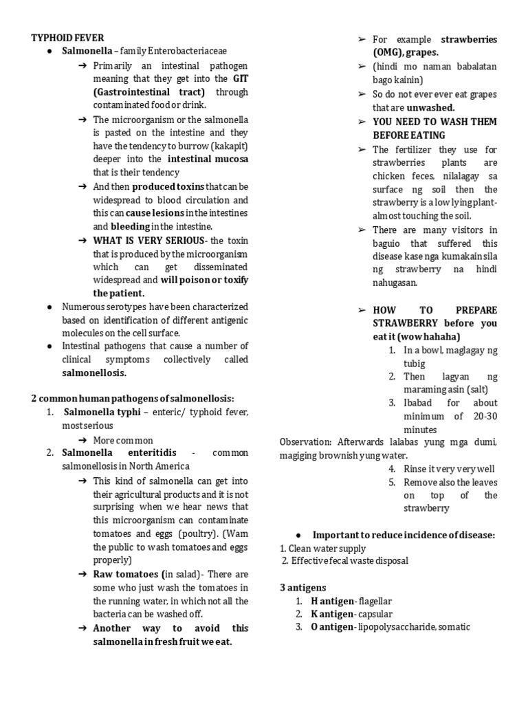 USM1-2-IS-LEC-FINALS-TRANS | PDF | Elisa | Salmonella