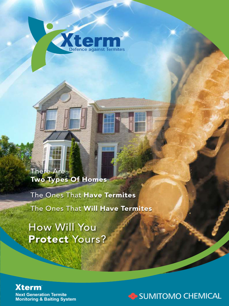 Xterm Brochure | PDF