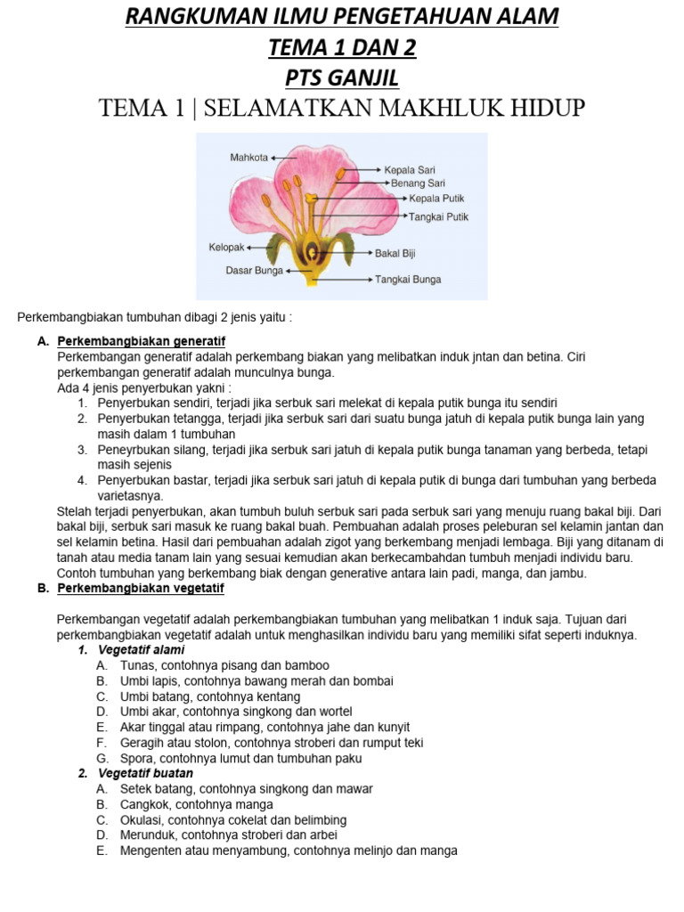 Tema 1 Dan 2 Ipa | PDF