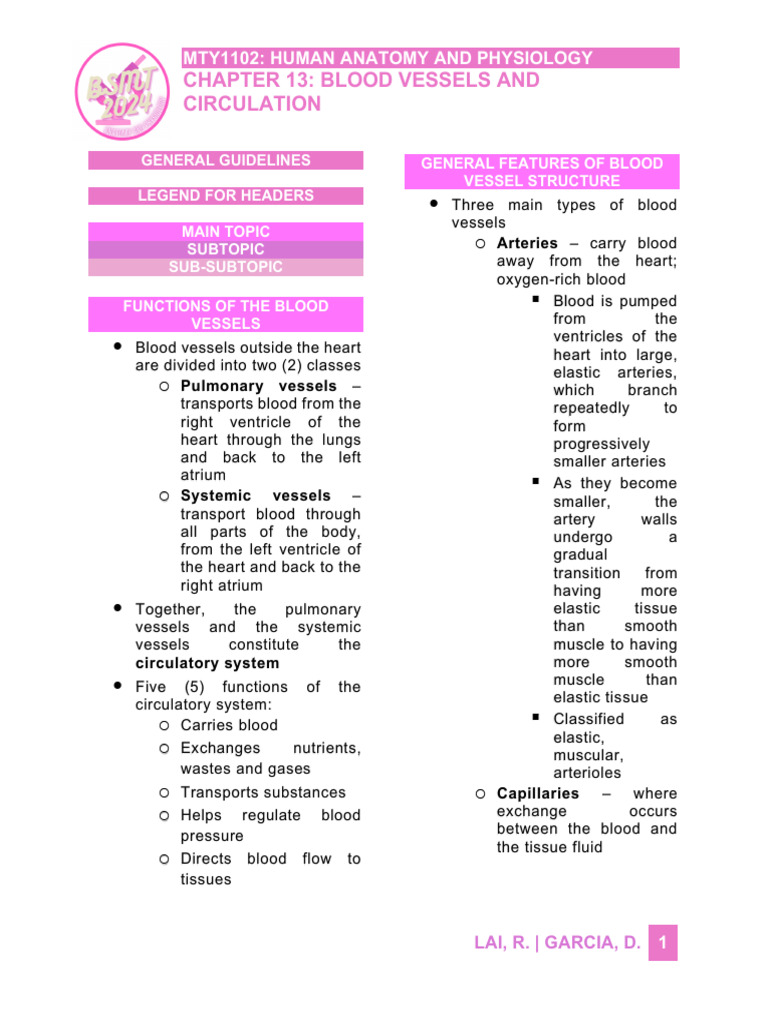 Chapter 13 - Blood Vessels and Circulation | PDF | Aorta | Vein