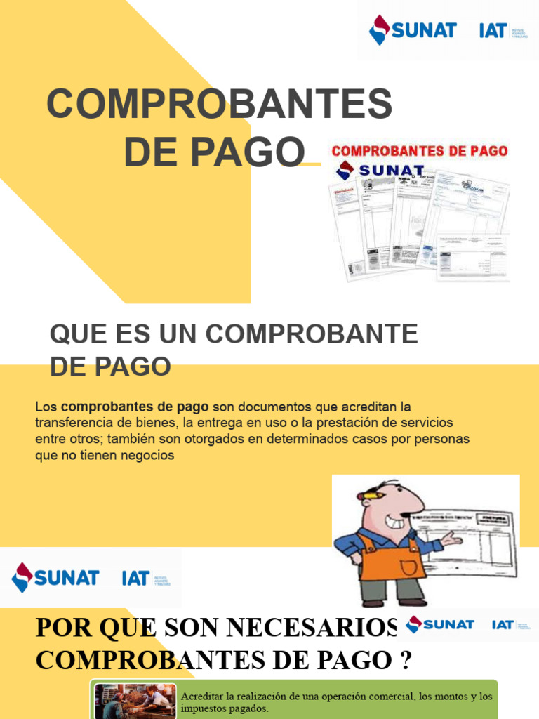 Comprobantes de Pago Electronicos 2023 | PDF