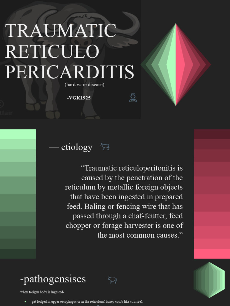 Traumatic Reticulo Pericarditis: (Hard Ware Disease) | PDF