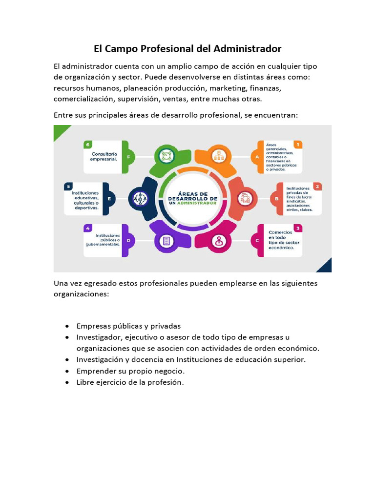 El Campo Profesional Del Administrador | PDF