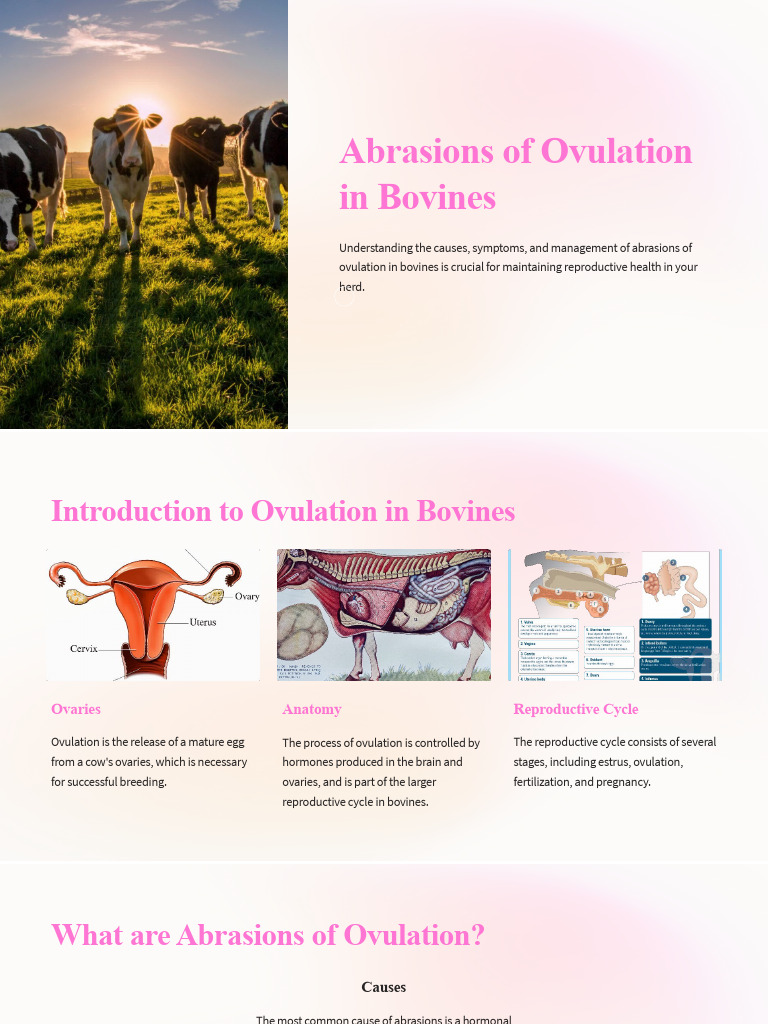 Abrasions of Ovulation in Bovines | PDF | Self-Improvement
