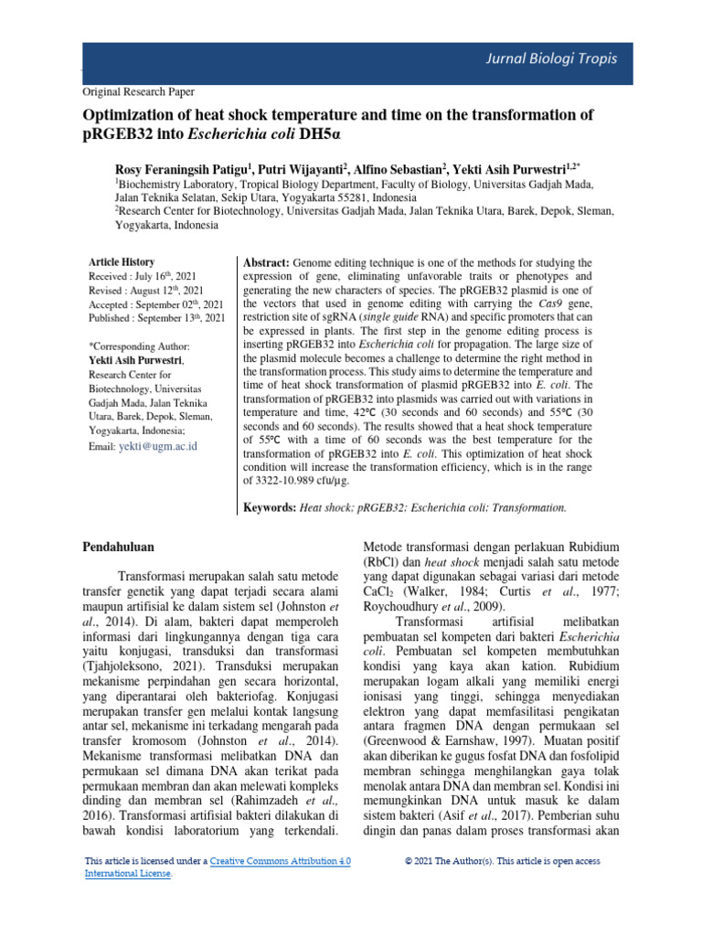 Optimasi Transformasi pRGEB32 ke E. coli | PDF | Sains & Matematika