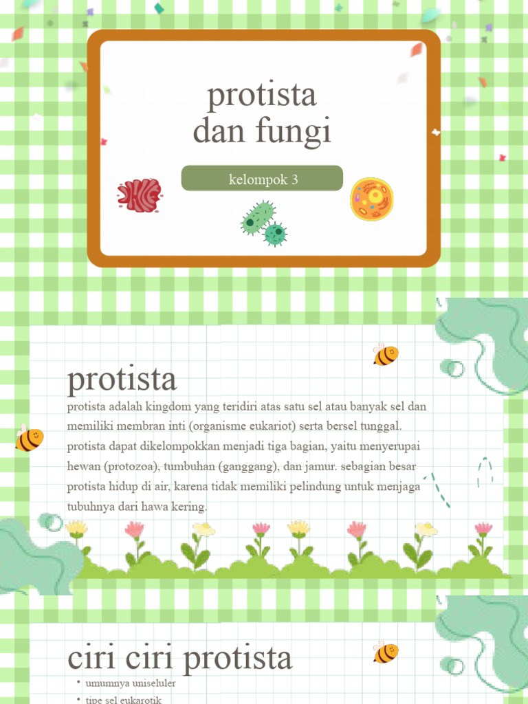 Ciri dan Klasifikasi Protista serta Fungi | PDF