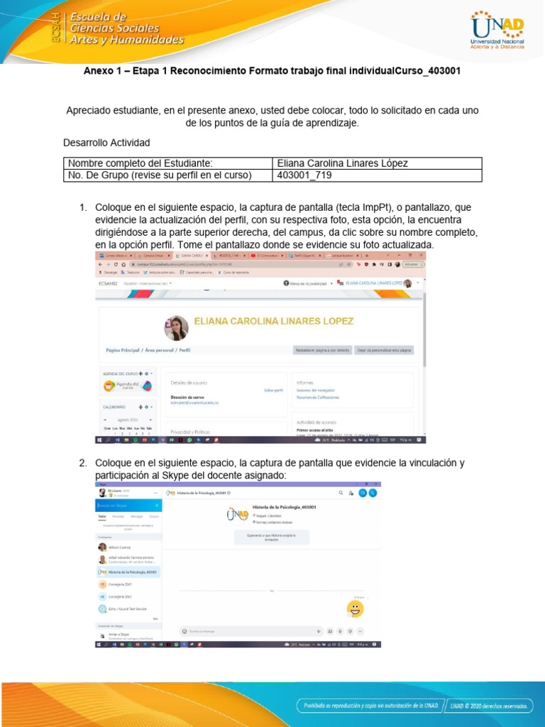 Anexo 1. Eliana Linares Tarea 1 | PDF | Sicología | Psicoanálisis