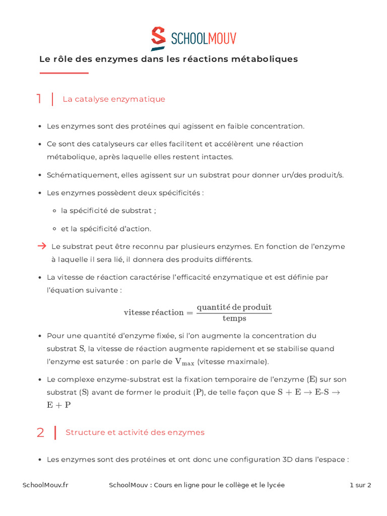 Le Role Des Enzymes Dans Les Reactions Metaboliques - Fiche de Revision | PDF | Enzyme | Protéines