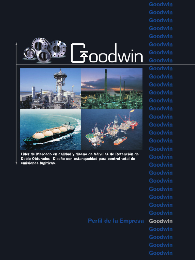 Goodwin Company Profile Spanish | PDF | Hierro fundido | Química