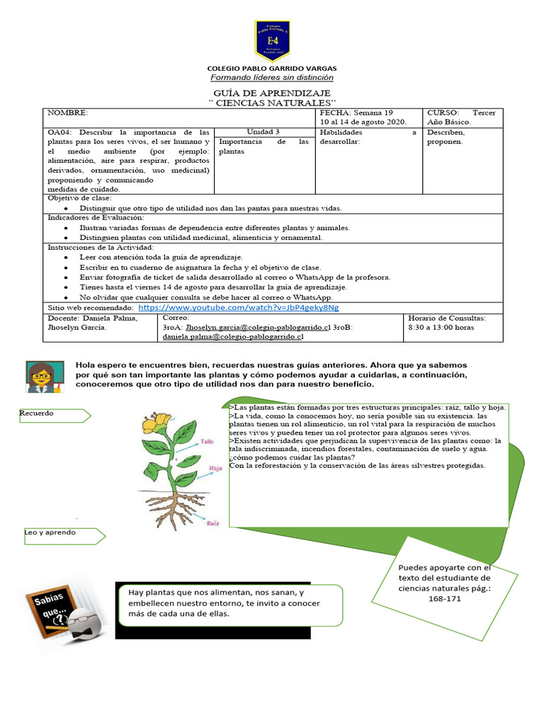 Guia-3-Cienc-Sem19 Las Plantas | PDF | Plantas | Aprendizaje