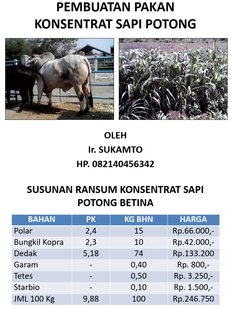 Pembuatan Pakan Konsentrat Sapi Potong | PDF
